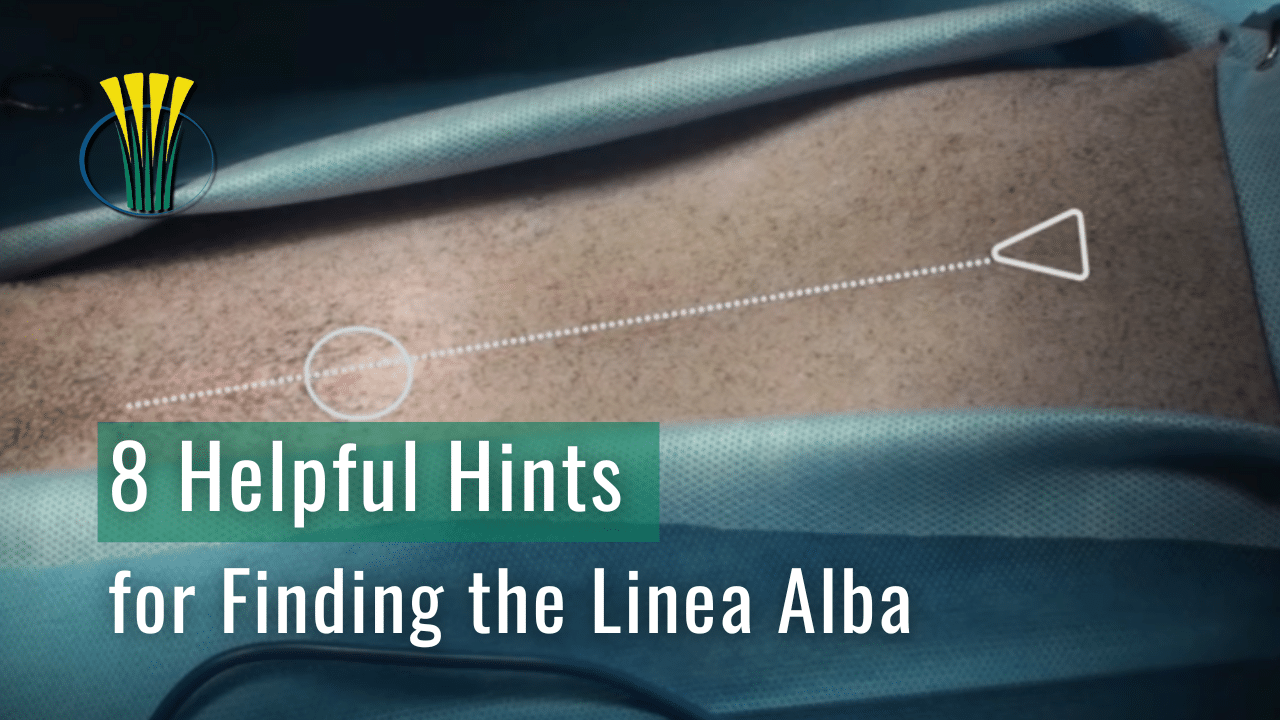 8 Helpful Hints for Finding the Linea Alba - Focus and Flourish